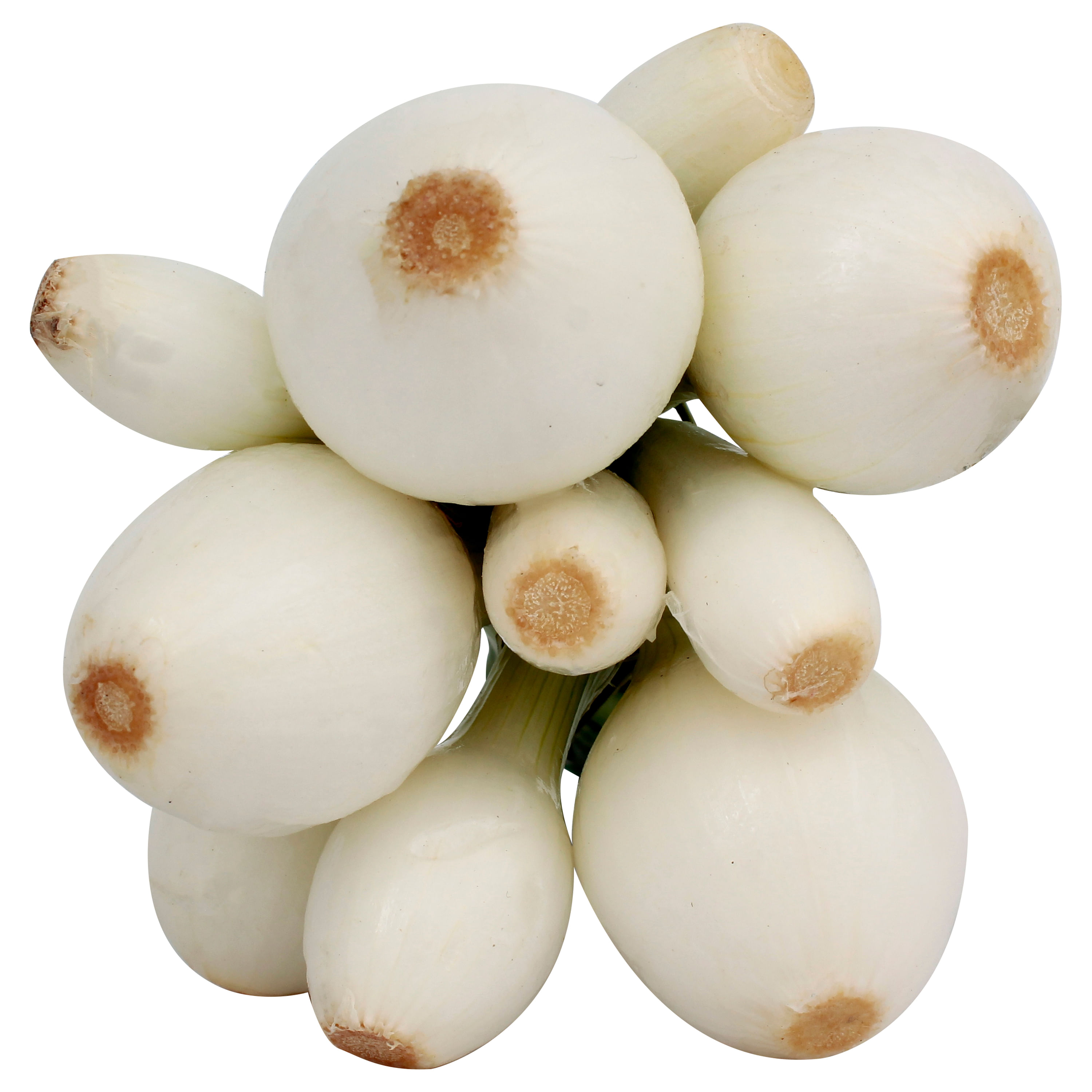 Comprar Cebolla Con Tallo Manojo | Walmart Guatemala - Walmart | Guatemala