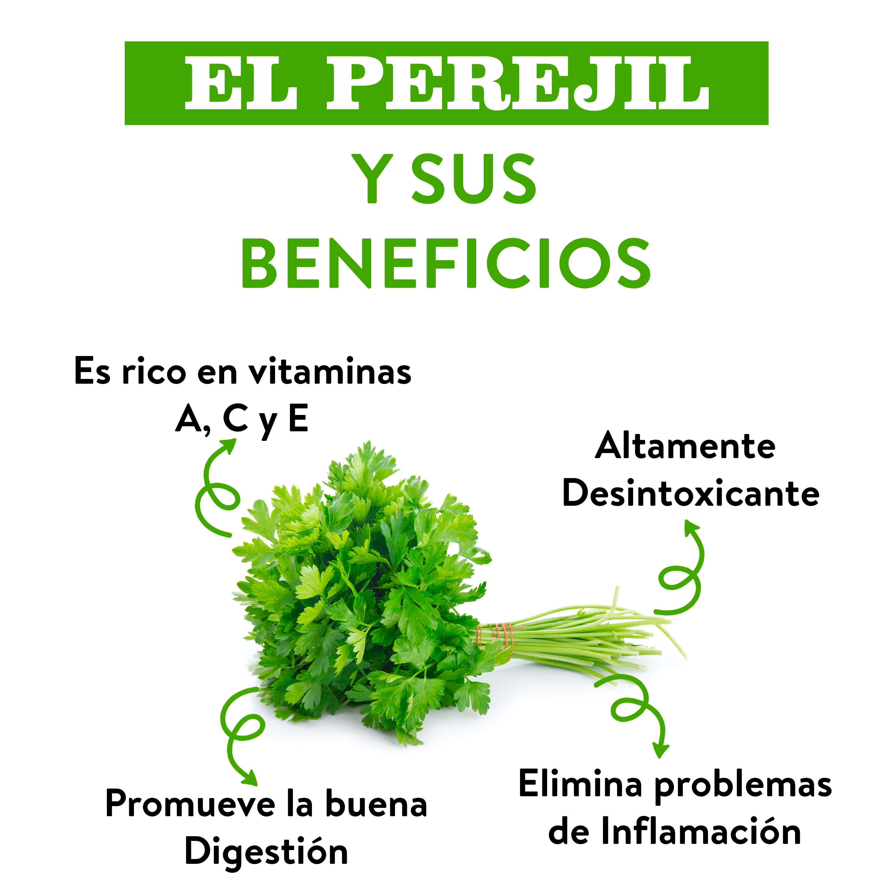 Comprar Cilantro Manojo Unidad | Walmart Guatemala