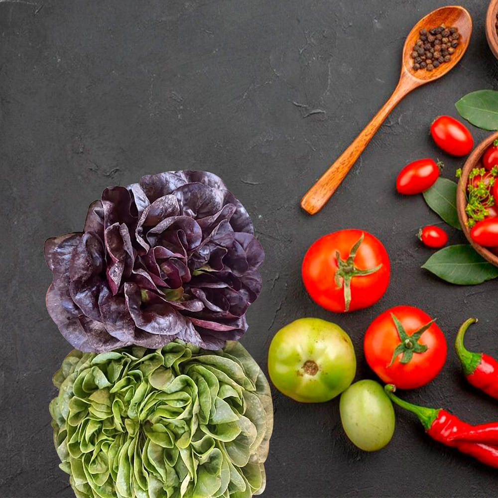 Comprar Lechuga Salanova 3 pack | Walmart Guatemala - Walmart | Compra ...