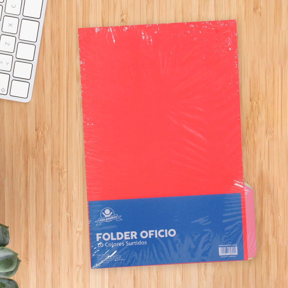 Comprar Folder Mis Pasitos tamaño oficio colores surtido pack - 10 Pzas ...