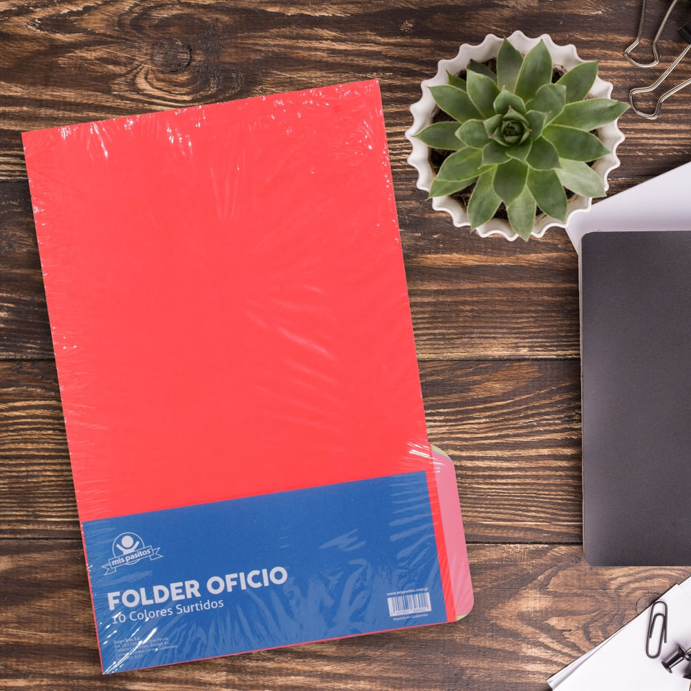 Comprar Folder Mis Pasitos tamaño oficio colores surtido pack - 10 Pzas ...