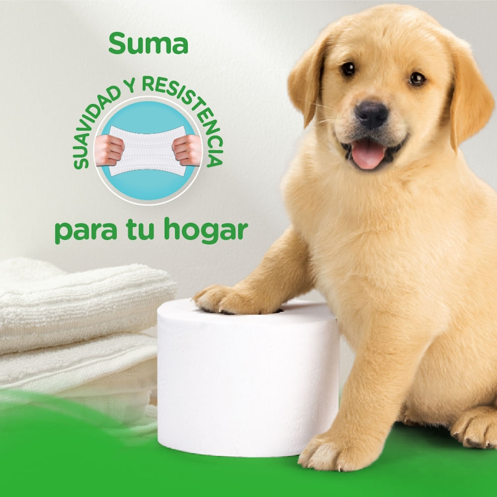 Comprar Papel Higiénico Scott 2 en 1 Doble Hoja - 1 Rollo | Walmart ...